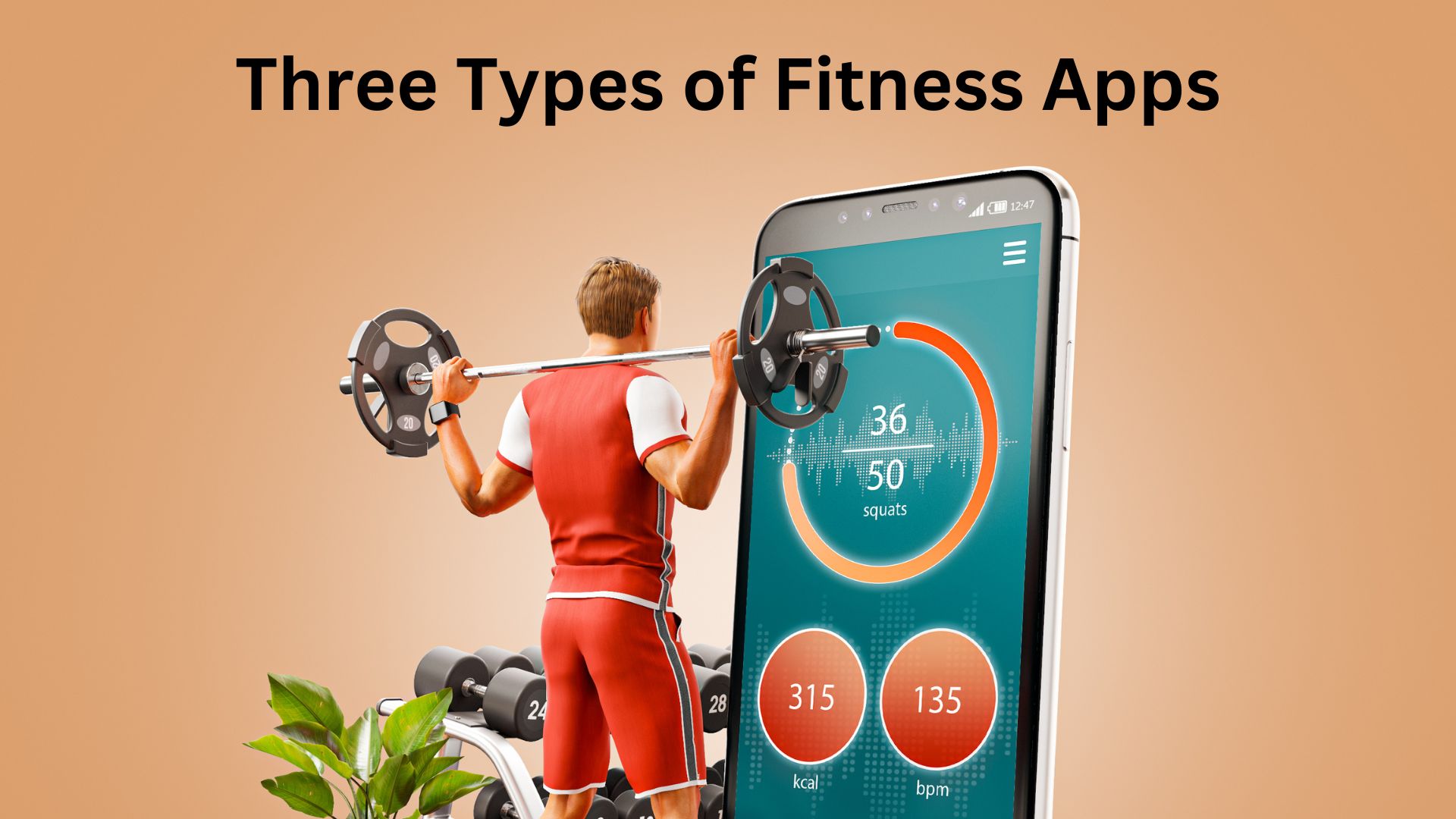 Three Types of Fitness Equipment: A Detailed Guide - Desi Ghiza